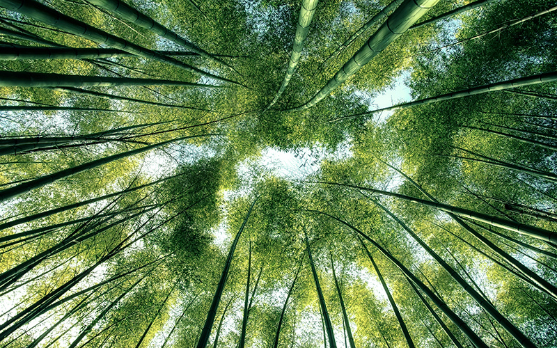 Thematic review report: Actuarial involvement in climate and ...