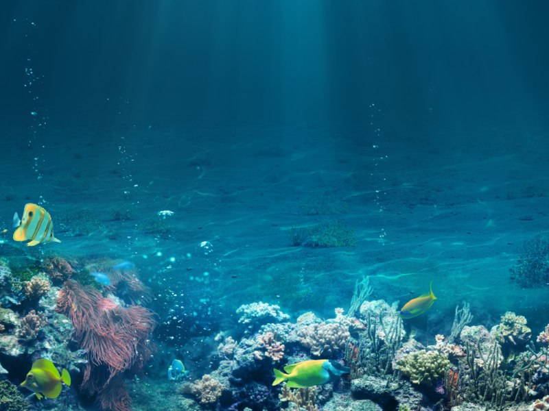 The Actuary | Our Oceans’ Financial Future | The Actuary